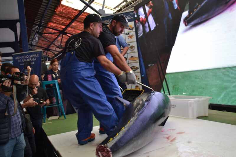 Arranca la I Ruta del Atún de La Línea con degustaciones, premios y actuaciones