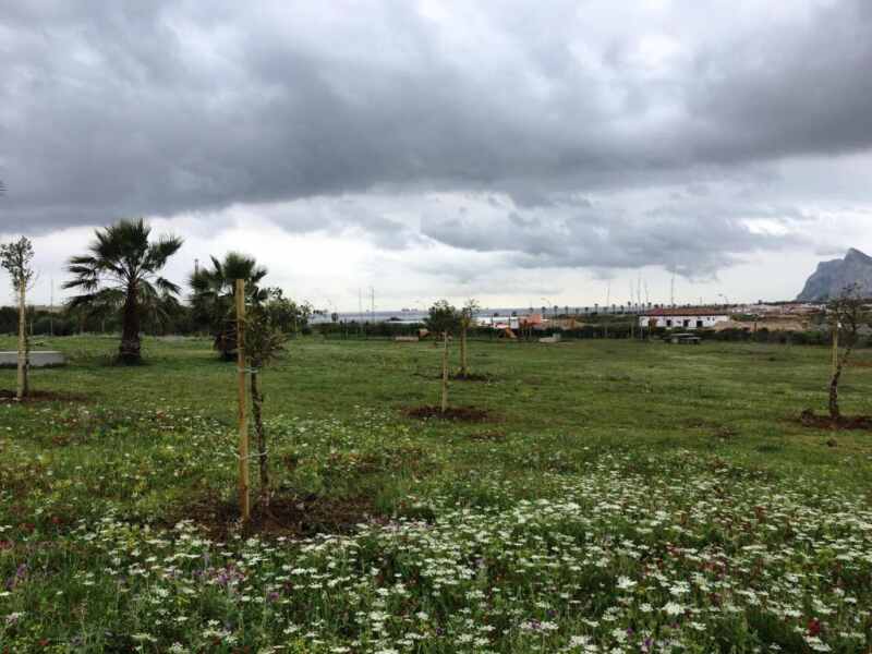 Medio Ambiente planta 30 nuevos árboles en el camino de la primera ...