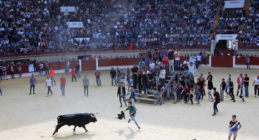Las obras de La Montera se interrumpirán para celebrar el Toro Embolao