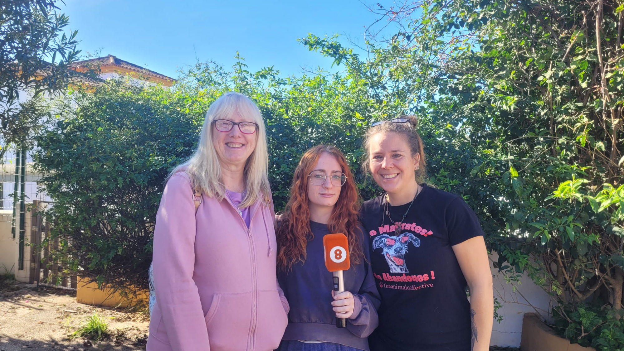 The Animal Collective: un espacio de protección y esperanza para ...