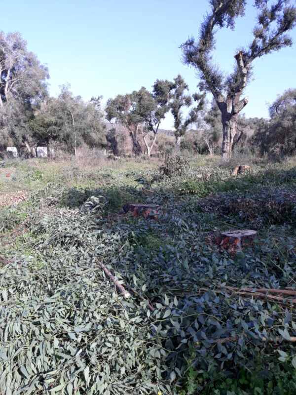 Dos plazas en Tahivilla recuerdan a los alcaldes Francisco Castro y ...